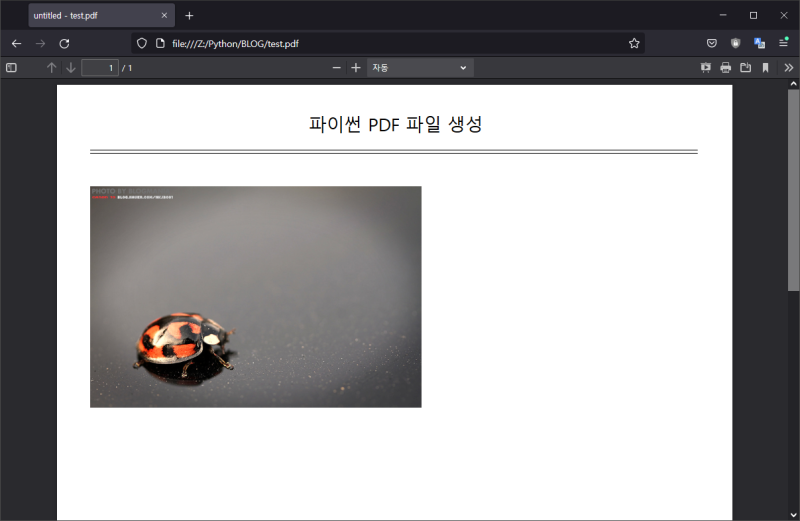 파이썬으로 PDF 파일 생성하기, python pdf reportlab : 네이버 블로그