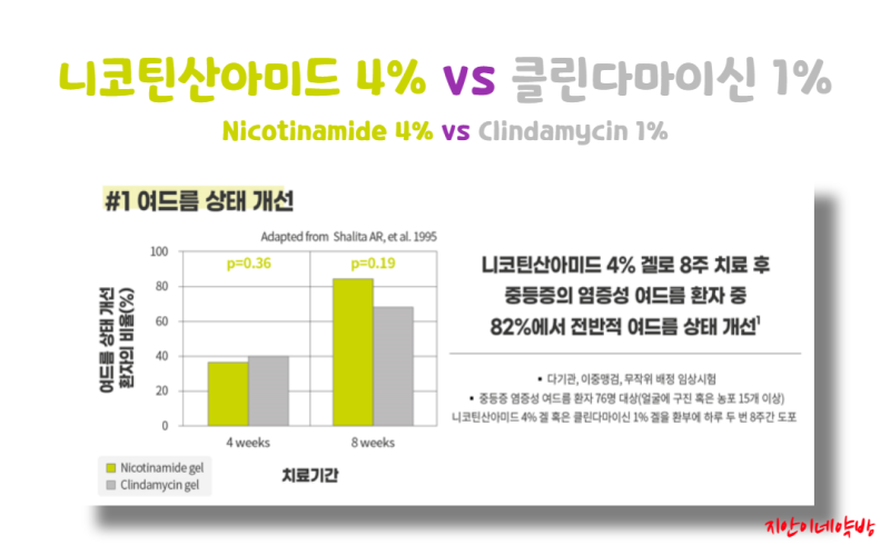 세비타비겔 여드름 약 비교 Vs 크레오신 클리어틴 애크논 및 성분 효과 주의사항 네이버 블로그