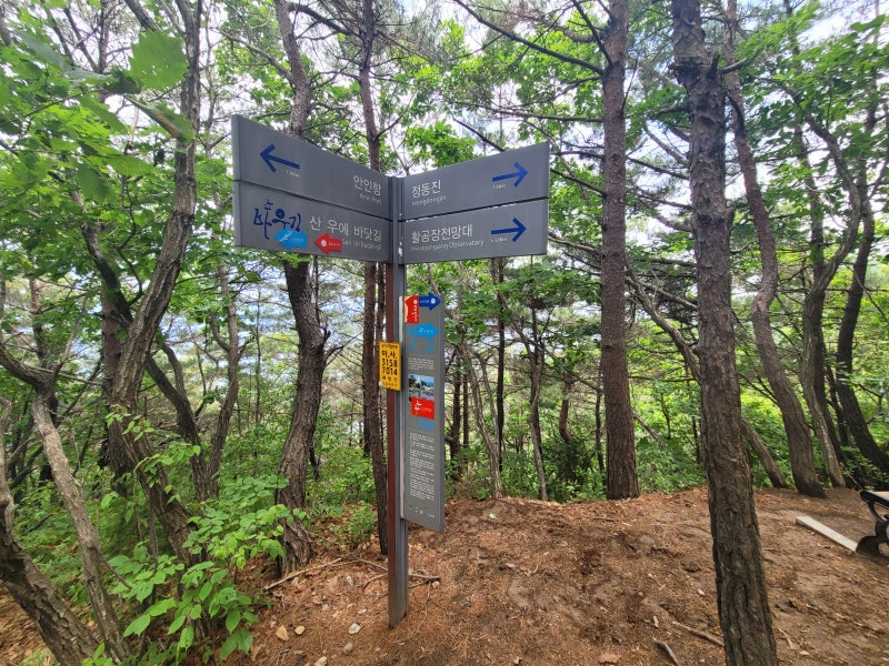 강릉 괘방산 등산코스 괘방산 등산지도강릉 초보등산코스활공장 코스안인삼거리주차장 네이버 블로그