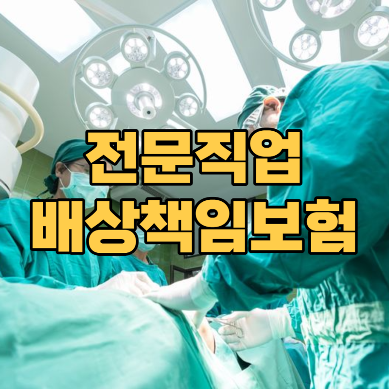 전문인배상책임보험전문직업배상책임 가입요령 Pl보험professional Indemnity 네이버 블로그