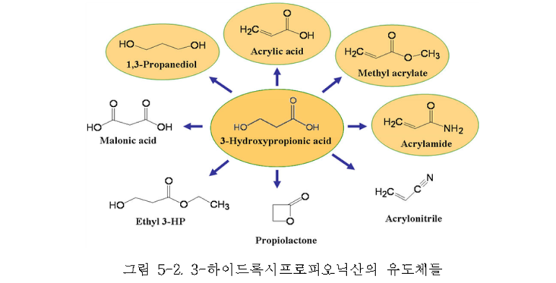 융합생물공학 | 바이오매스 algae, diol, diamine 만드는 방법 반말로 설명 | PDO, BDO : 네이버 블로그