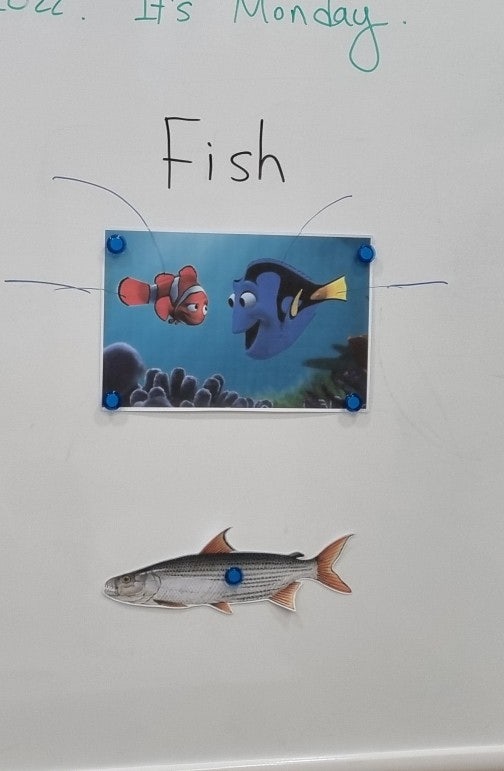 Max has a fish : 네이버 블로그