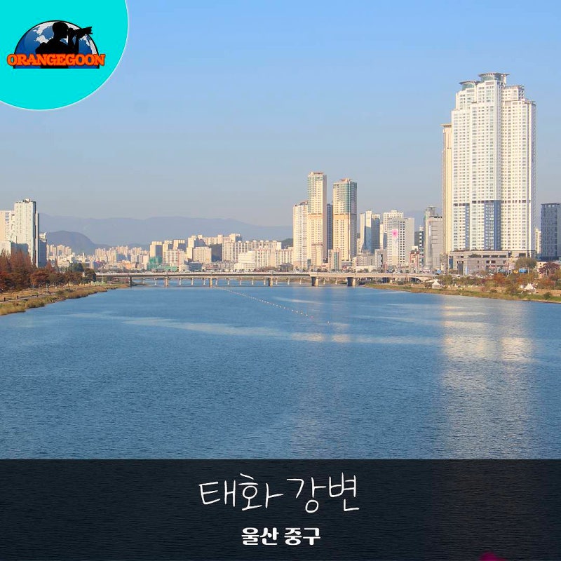 울산 중구 태화강변 도보여행 울산의 젖줄 깨끗해진 태화강변을 따라 즐거운 도보여행 네이버 블로그