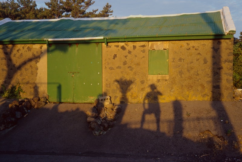 [2022년 5월 제주] Rollei 35와 코닥 E100D 슬라이드 필름으로 담은 제주 (2) : 네이버 블로그