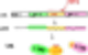 T2A seq (IRES seq) : 네이버 블로그