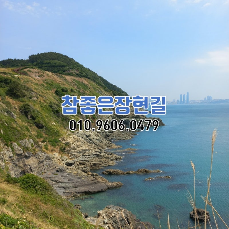 소액으로 투자 가능한 대연9구역대연동 마지막 재개발 지역 네이버 블로그