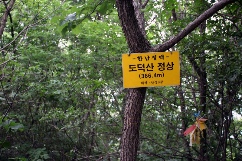 한남정맥 1 2구간 안성 도덕산 최단코스 주차위치 멧돼지 출몰주의 네이버 블로그