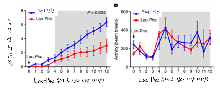 고강도 운동을 하면 식욕이 사라지는 이유: 운동과 식욕, 그리고 다이어트 : 네이버 블로그