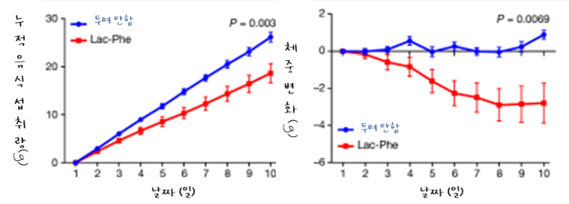 고강도 운동을 하면 식욕이 사라지는 이유: 운동과 식욕, 그리고 다이어트 : 네이버 블로그
