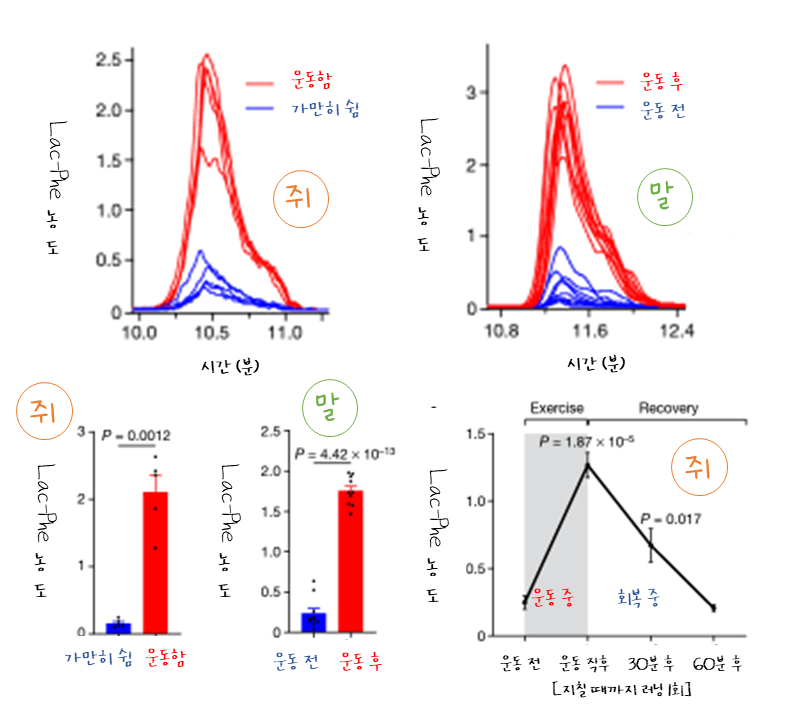 고강도 운동을 하면 식욕이 사라지는 이유: 운동과 식욕, 그리고 다이어트 : 네이버 블로그