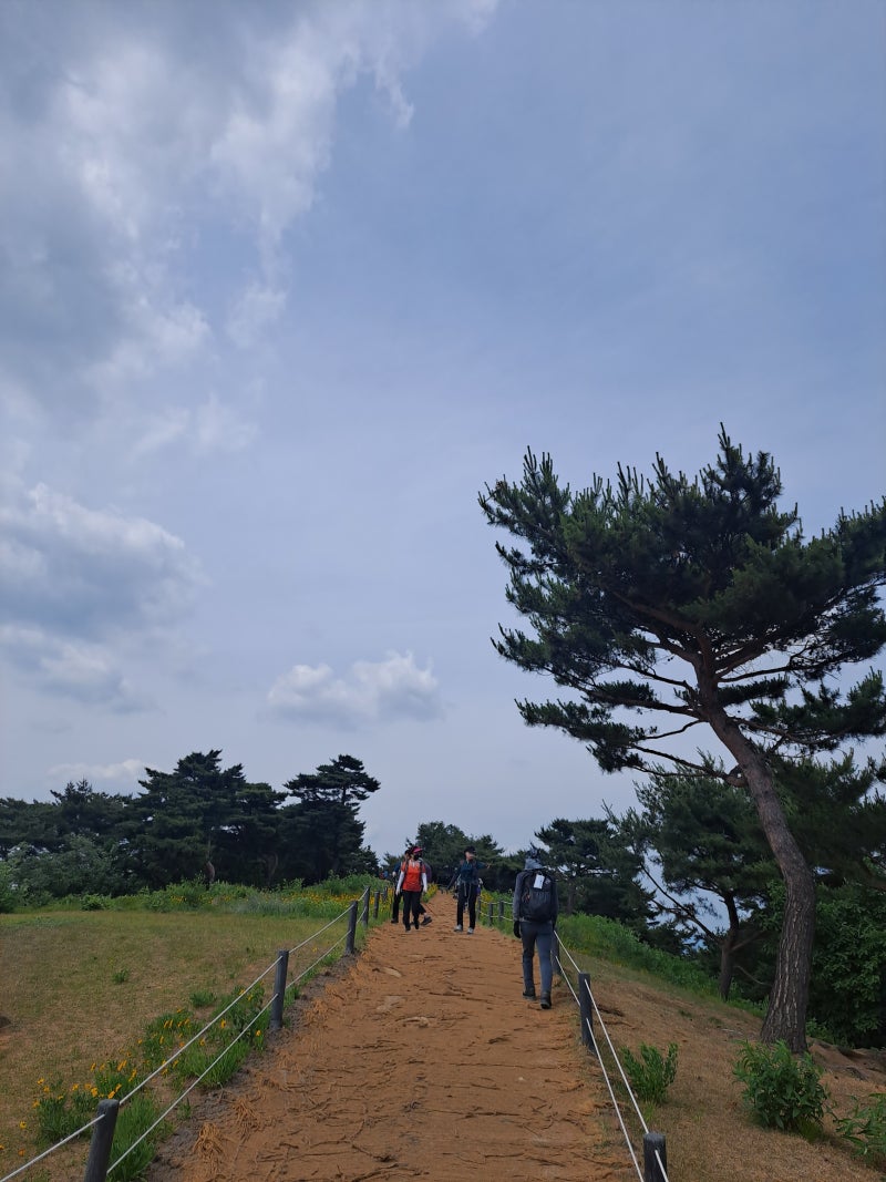 서울구리아차산역 아차산 등산 코스 및 난이도 Feat 짝꿍 대중교통 네이버 블로그