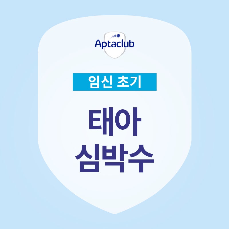 태아 심박수 정상범위 아기 심장소리 듣는 시기는 언제 네이버 블로그