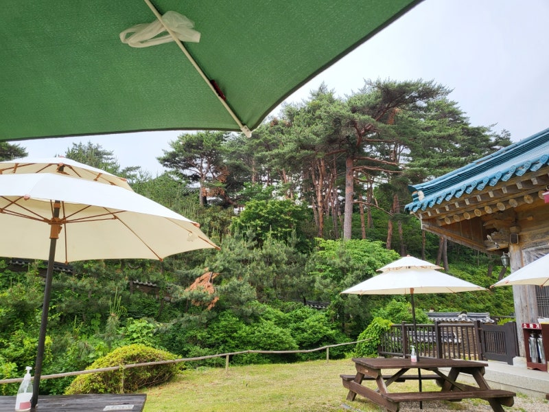 양양 낙산사 가볼만한 곳입장료 주차정보 문화재 등 네이버 블로그
