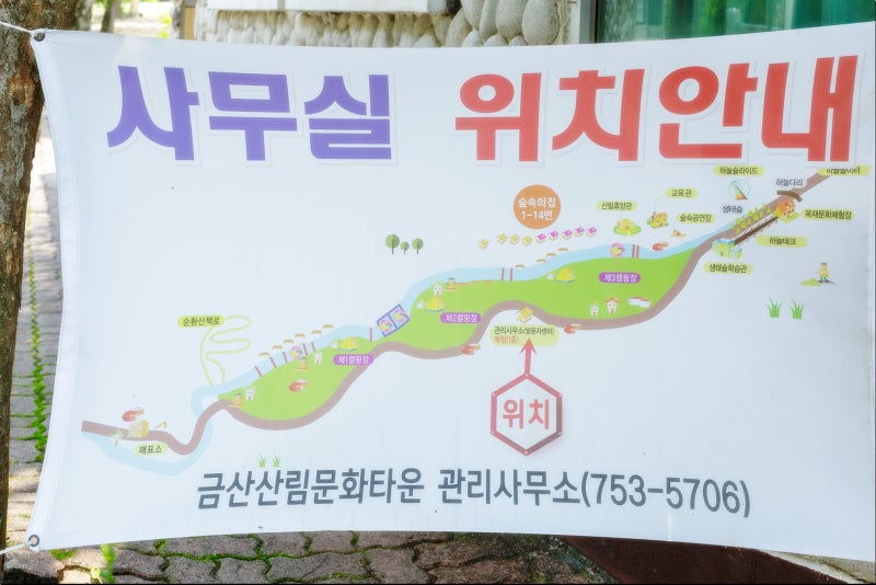 대전 근교 드라이브 금산 가볼 만한 곳 금산산림문화타운 남이자연휴양림 힐링 여행 네이버 블로그
