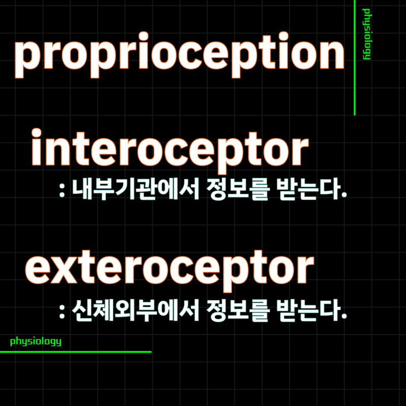 고유수용성감각 Proprioception 에 대하여개념과 분류부터 네이버 블로그
