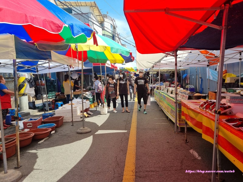 파주 금촌장날5일장 1 6일 금촌전통시장 6월 풍경ft 맛집 네이버 블로그