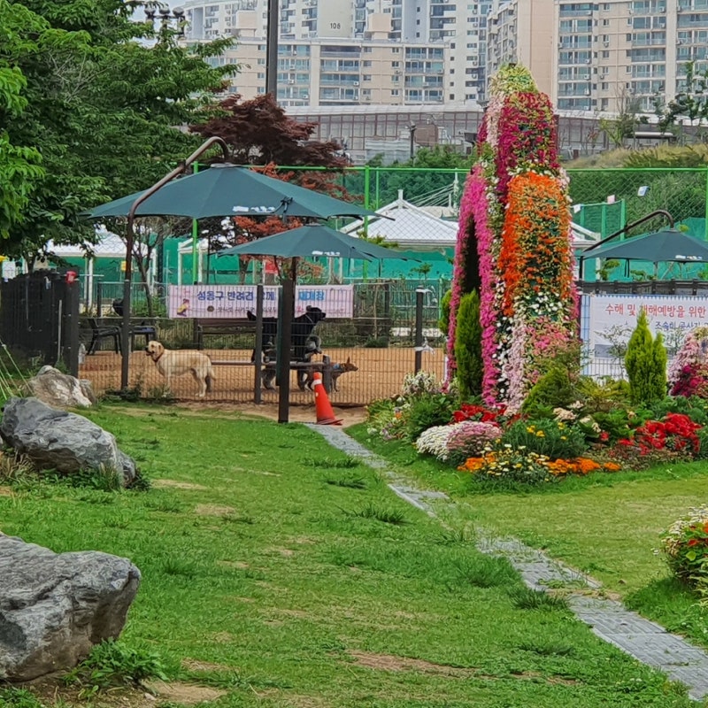 성동구 반려견 함께 쉼터 응봉 체육공원 살곶이 공원 지하철 이용 시 응봉역 한양대역 뚝섬역 서울숲역 이용 네이버 블로그