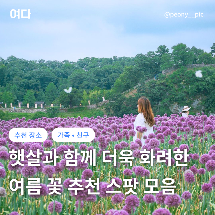 추천 장소 햇살과 함께 더욱 화려한 여름 꽃 추천 스팟 모음zip