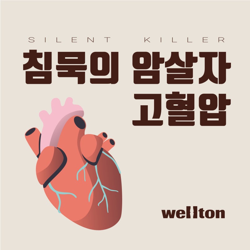 고혈압 수치 혈압계 수축기이완기 기준 얼마 네이버 블로그