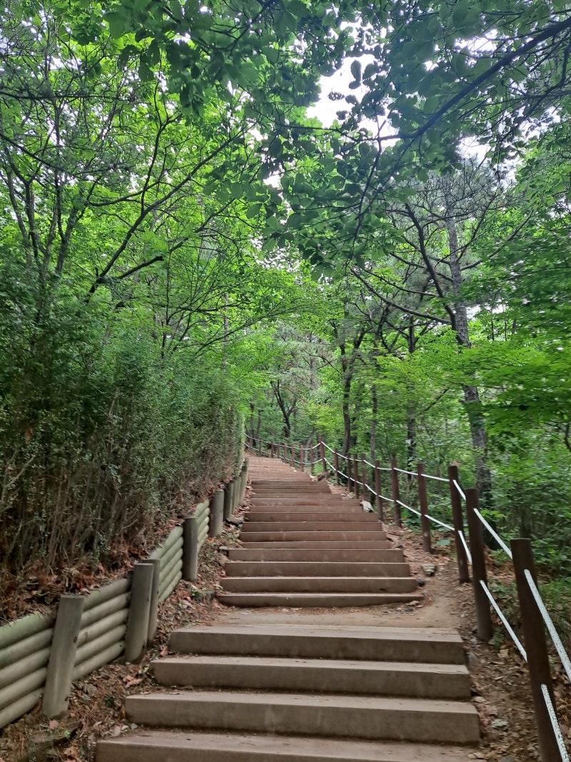 인천계양구계산역 계양산 등산코스 및 난이도 Feat 대중교통 네이버 블로그