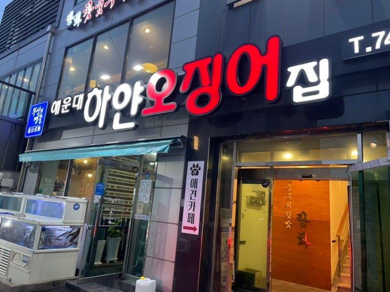 부산해운대 하얀오징어집 현지인 추천 오징어회 맛집 다녀와쪄요🦑 네이버 블로그