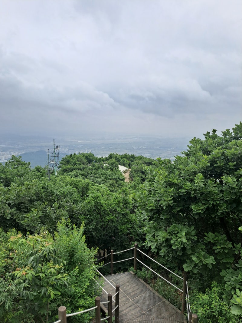 인천계양구계산역 계양산 등산코스 및 난이도 Feat 대중교통 네이버 블로그
