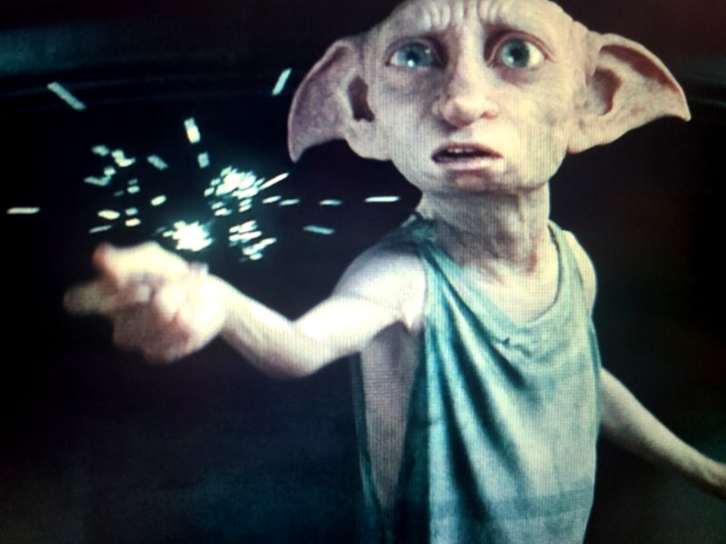 도비는 자유에요(Dobby is free) 회사생활 탈출 : 네이버 블로그