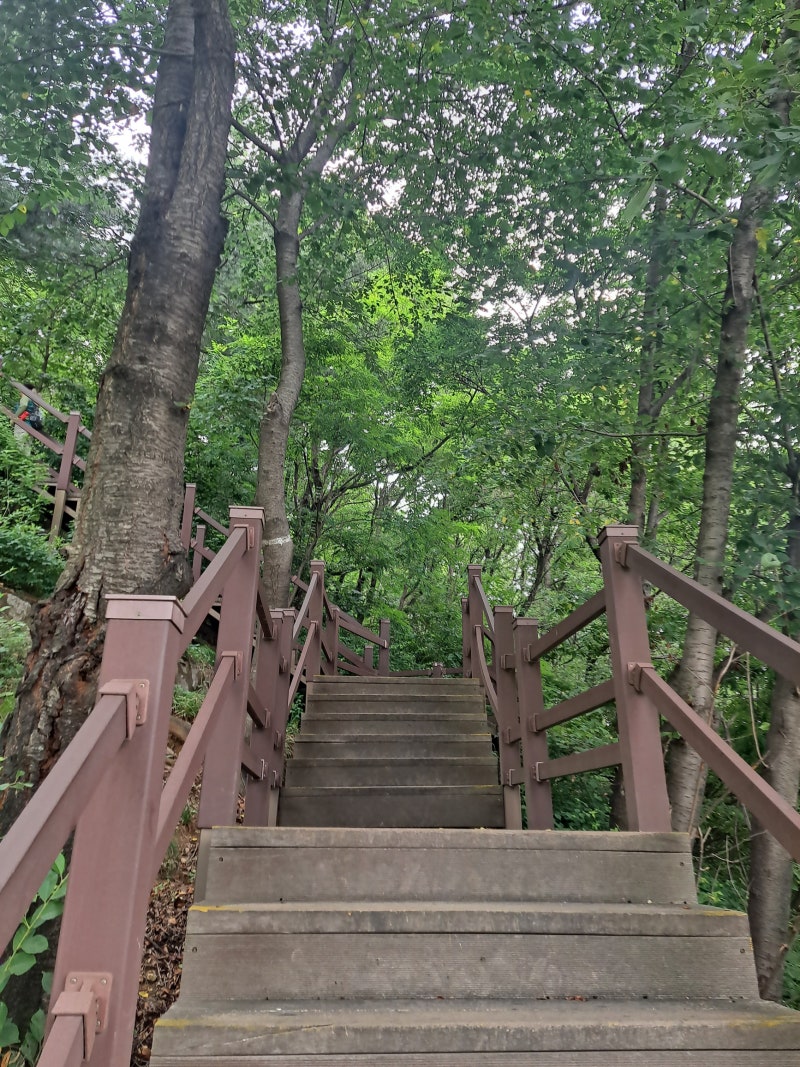 인천계양구계산역 계양산 등산코스 및 난이도 Feat 대중교통 네이버 블로그
