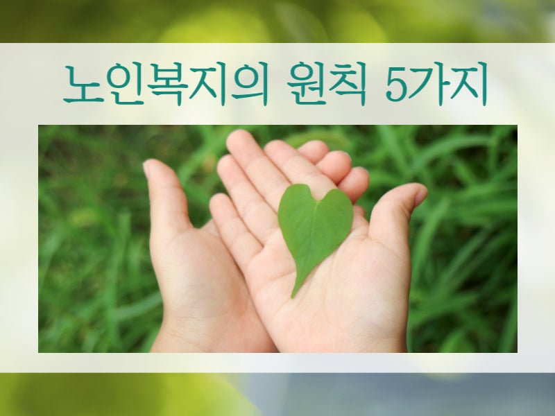 노인복지의 개념 목적 원칙 네이버 블로그