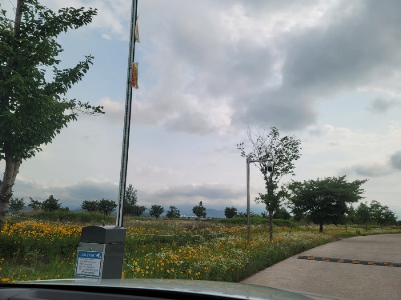 애견 동반 캠핑 밀양 아리랑 오토캠핑장 42번 낙동강 뷰 명당자리 후기 네이버 블로그