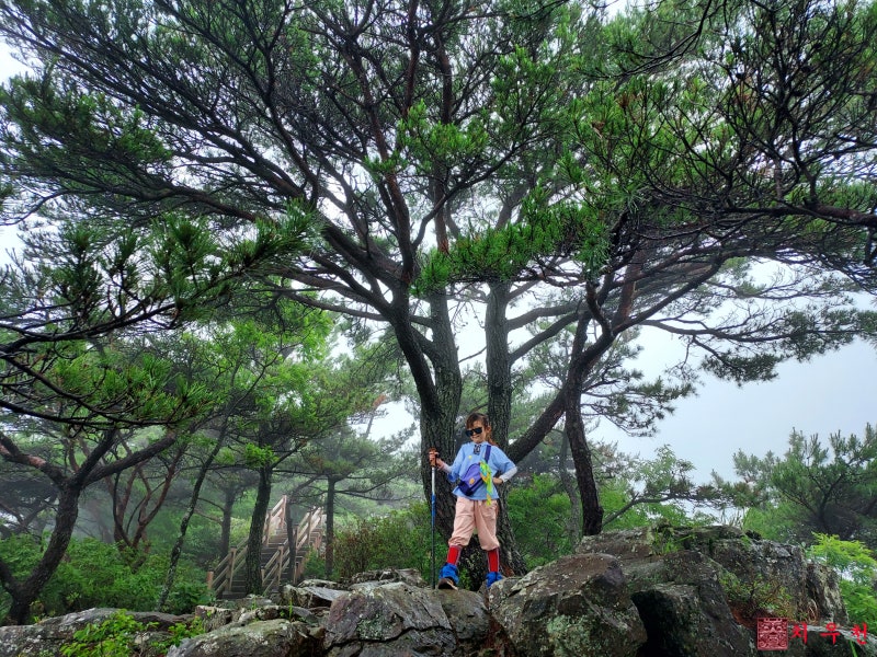 하린이와 함께하는 고성 거류산 산행엄홍길 전시관 거류산 정상 코스20220626 네이버 블로그