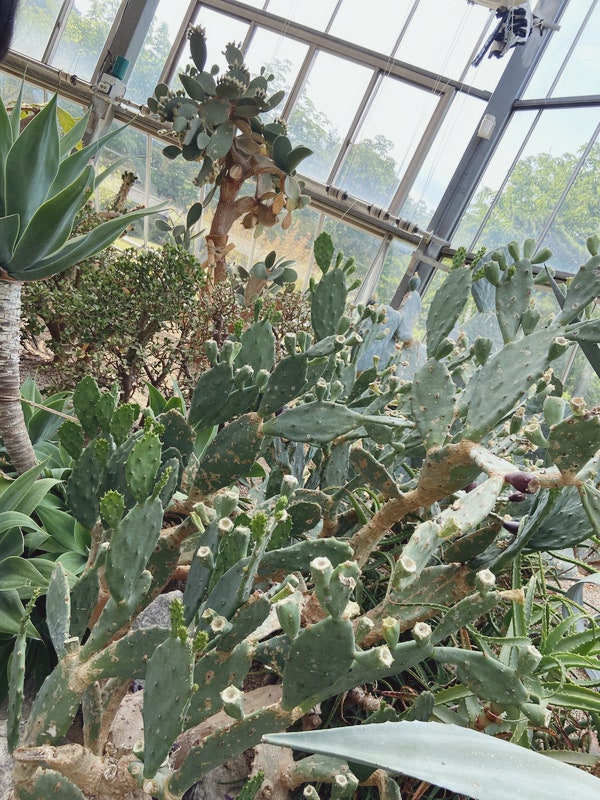 2022년 06월 대구 : 식도락, 오스테리아 밀스, 동대구 신세계 근처 가게들 : 네이버 블로그