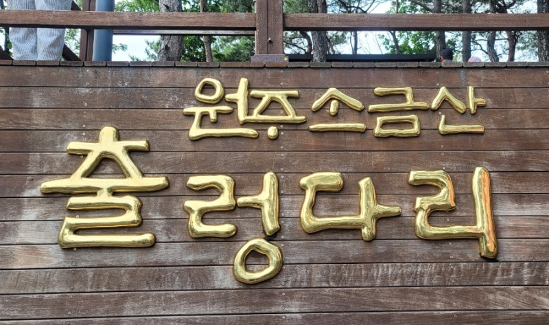 원주 소금산 출렁다리 소금산 그랜드밸리 이용시간 매표시간 휴장일 안내 네이버 블로그