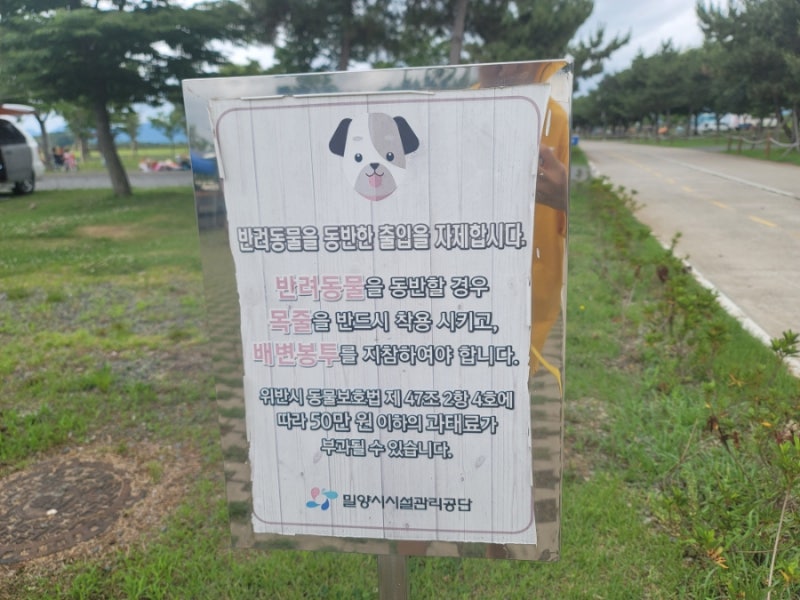 애견 동반 캠핑 밀양 아리랑 오토캠핑장 42번 낙동강 뷰 명당자리 후기 네이버 블로그