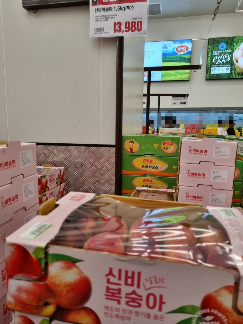 동탄 이마트 트레이더스 오픈 방문 후기 영업시간 네이버 블로그