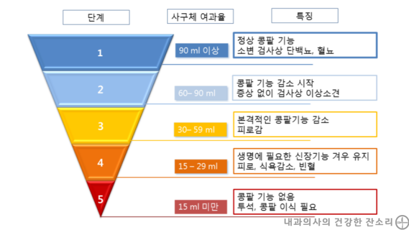 만성신부전이란 신부전 단계에 따라 증상 예후 치료 목표 다르다 네이버 블로그