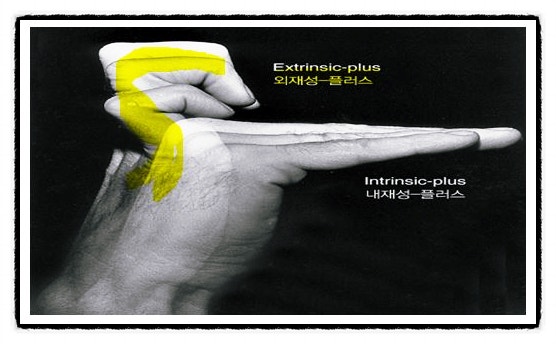 손(hand)의 해부학 2 (근육) : 네이버 블로그
