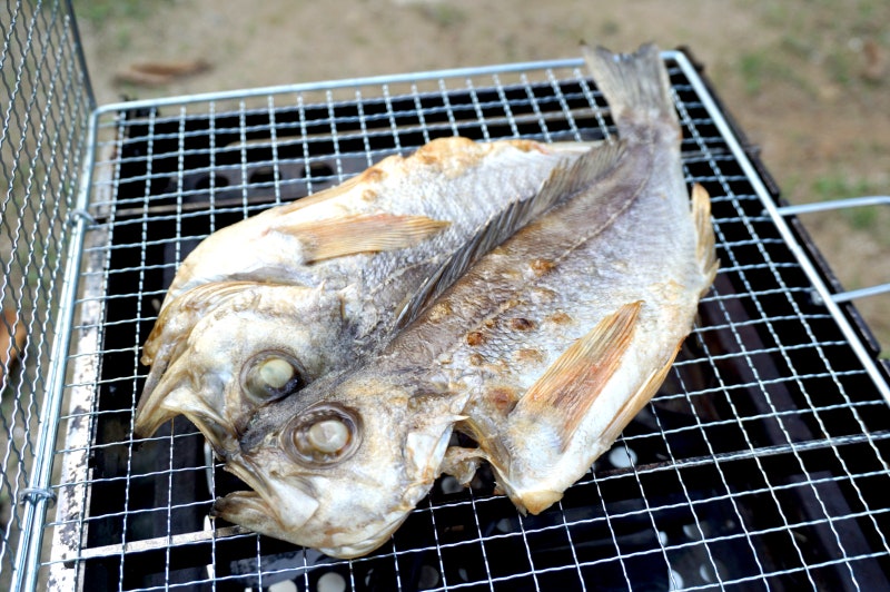 여수 반건조 생선 열기 구이 국산 뽈락 캠핑생선구이 추천 네이버 블로그