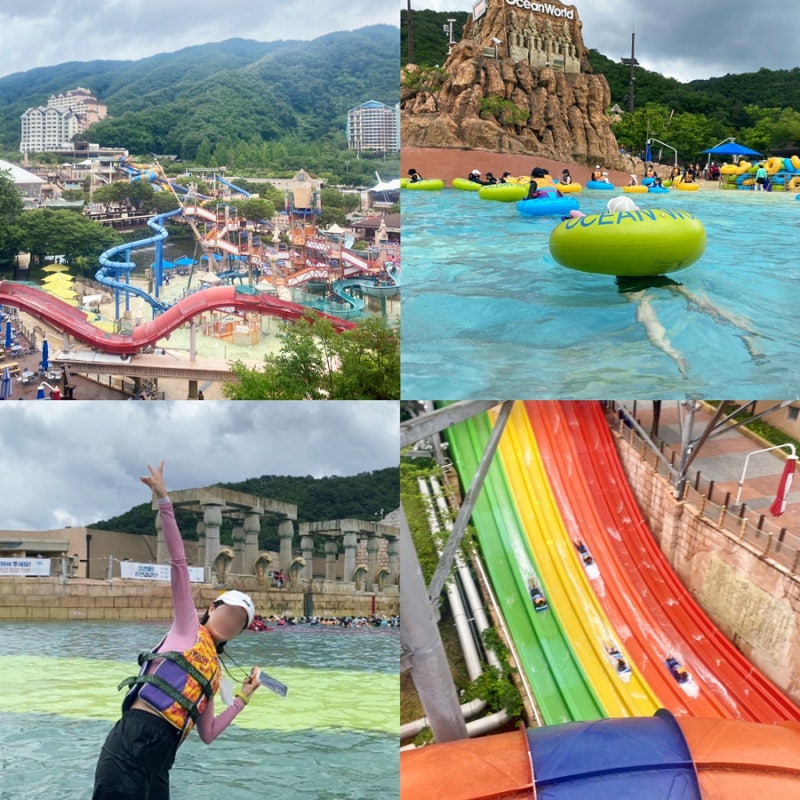 홍천 소노벨 비발디파크 셔틀버스 타고 오션월드 입장권 할인 먹거리 반입금지 A10