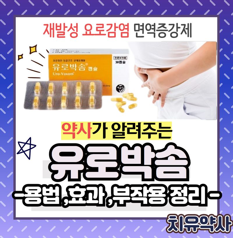 방광염 오줌소태 약 유로박솜캡슐 항생제 아니고 면역증강제였다고 효능용법주의사항 네이버 블로그