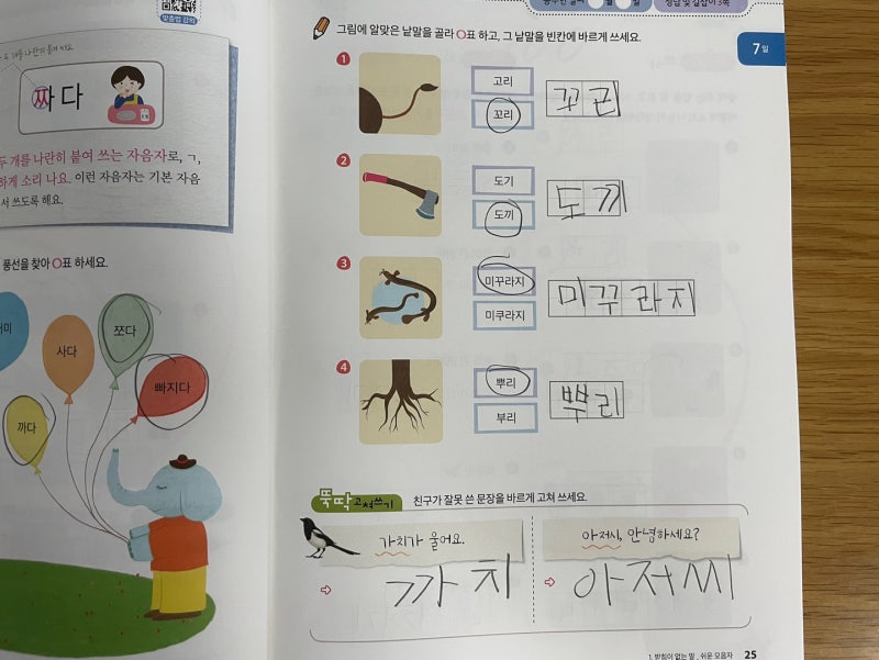 초등준비 국어 세마리 토끼잡는 독서논술과 초능력 받아쓰기 네이버 블로그