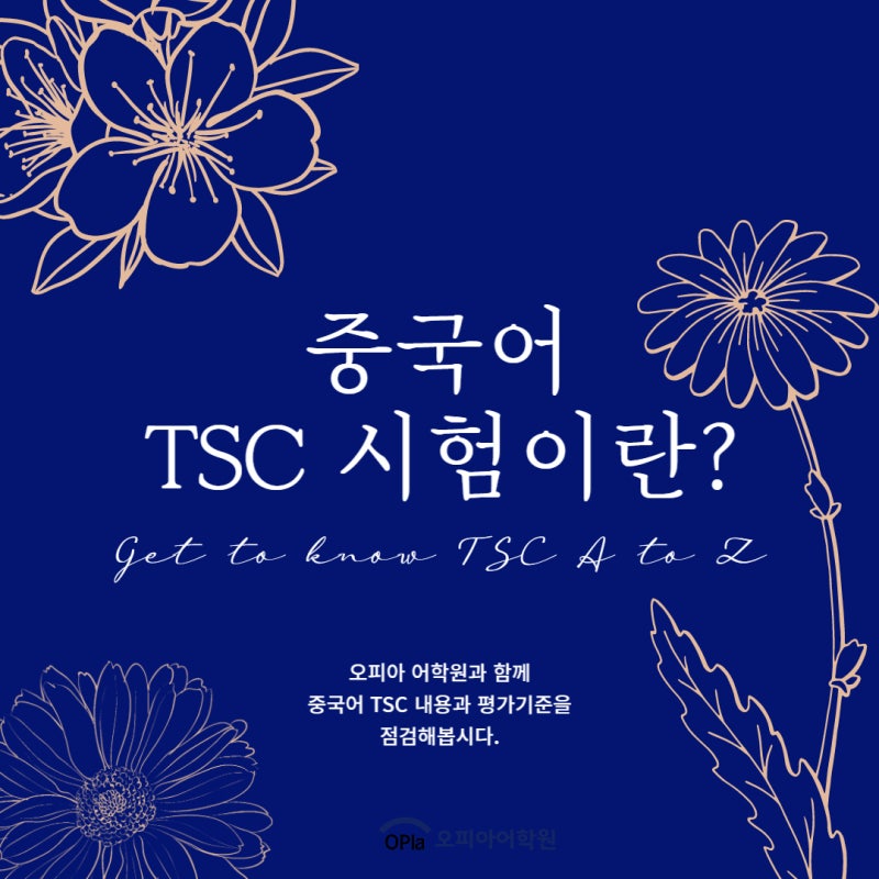 TSC시험이란? (ft. 삼성 사내 등급과 비교) : 네이버 블로그