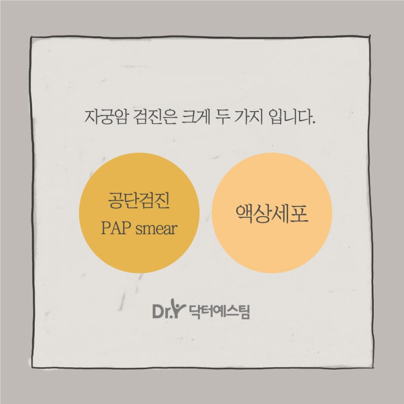 여성건강공부 자궁경부암 Ascus비정형상피세포란 송파구 잠실 산부인과닥터예스팀산부인과 네이버 블로그