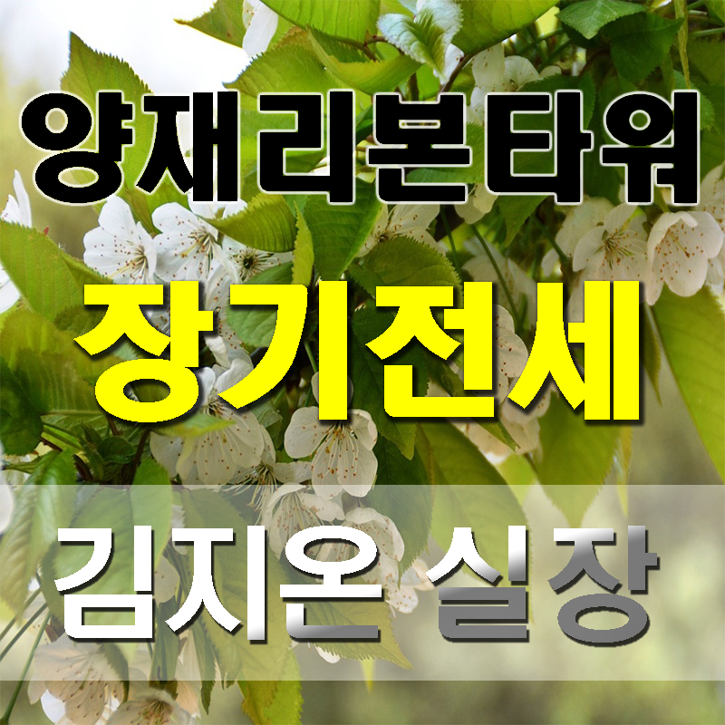양재리본타워 1단지 SH서울주택공사 반값 장기전세 특별공급으로 입주 - 서초구 양재동 아파트 : 네이버 블로그