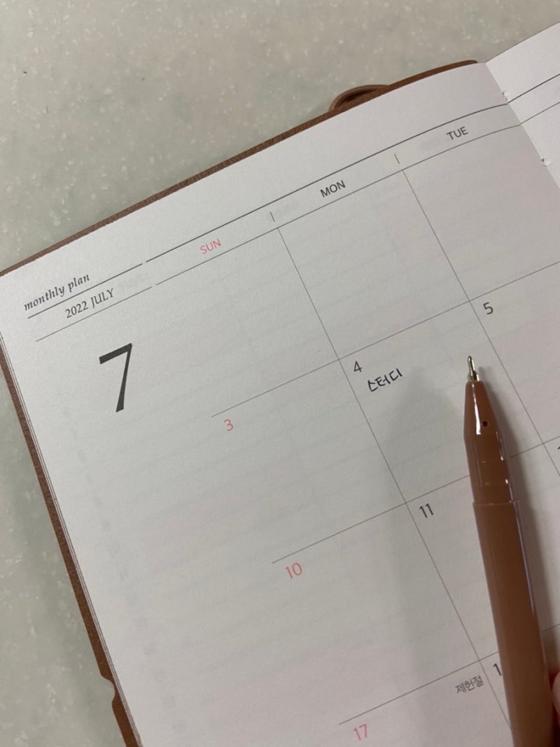 반년다이어리 리훈 6개월다이어리 이번엔 꼭 성공하리라 : 네이버 블로그