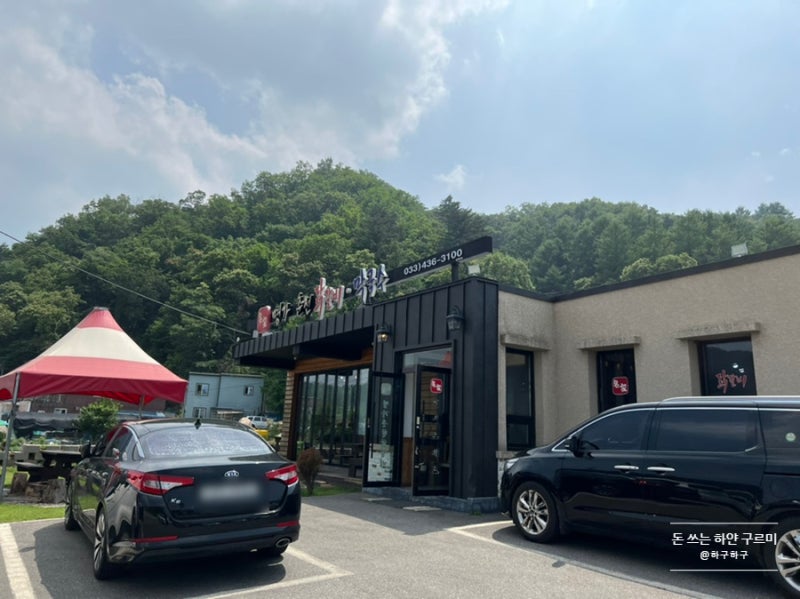 반려견 춘천여행 애견동반맛집 명가춘천닭갈비강아지숲 근처 맛집 네이버 블로그