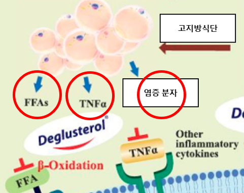 [케어젠] Deglusterol의 당뇨 증상 개선 원리 : 네이버 블로그