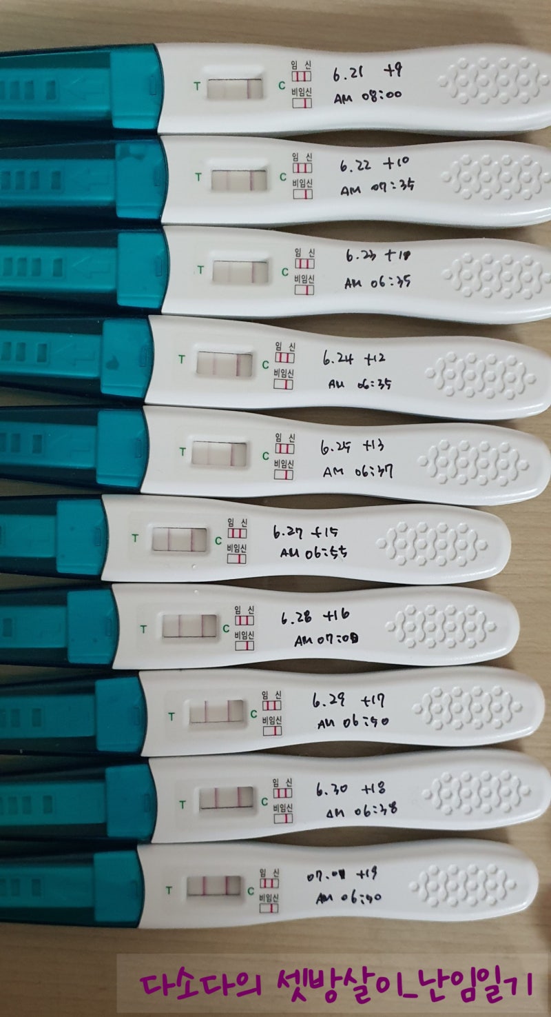 난임일기 13 시험관 2차 이식 17~19일차 증상 그리고 아기집 확인 네이버 블로그