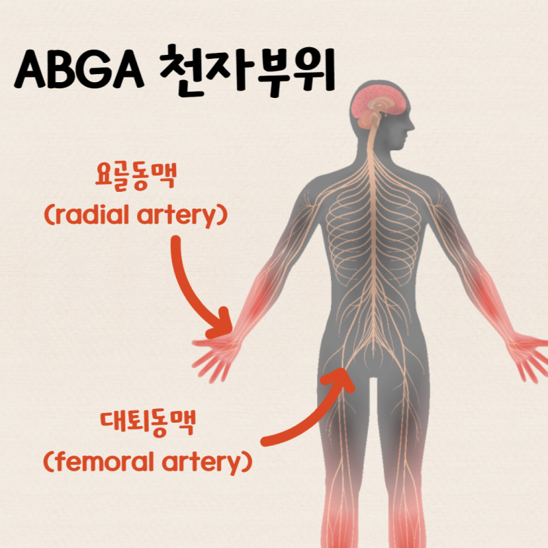 동맥혈가스분석 ABGA 해석 정상범위 : 네이버 블로그