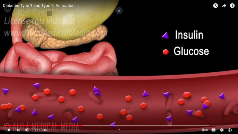 [케어젠] Deglusterol의 당뇨 증상 개선 원리 : 네이버 블로그